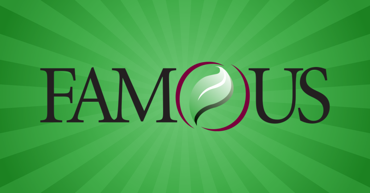 Famous ERP | 2024 Pros, Cons, Overview