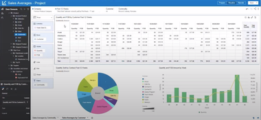 Famous ERP | 2024 Pros, Cons, Overview